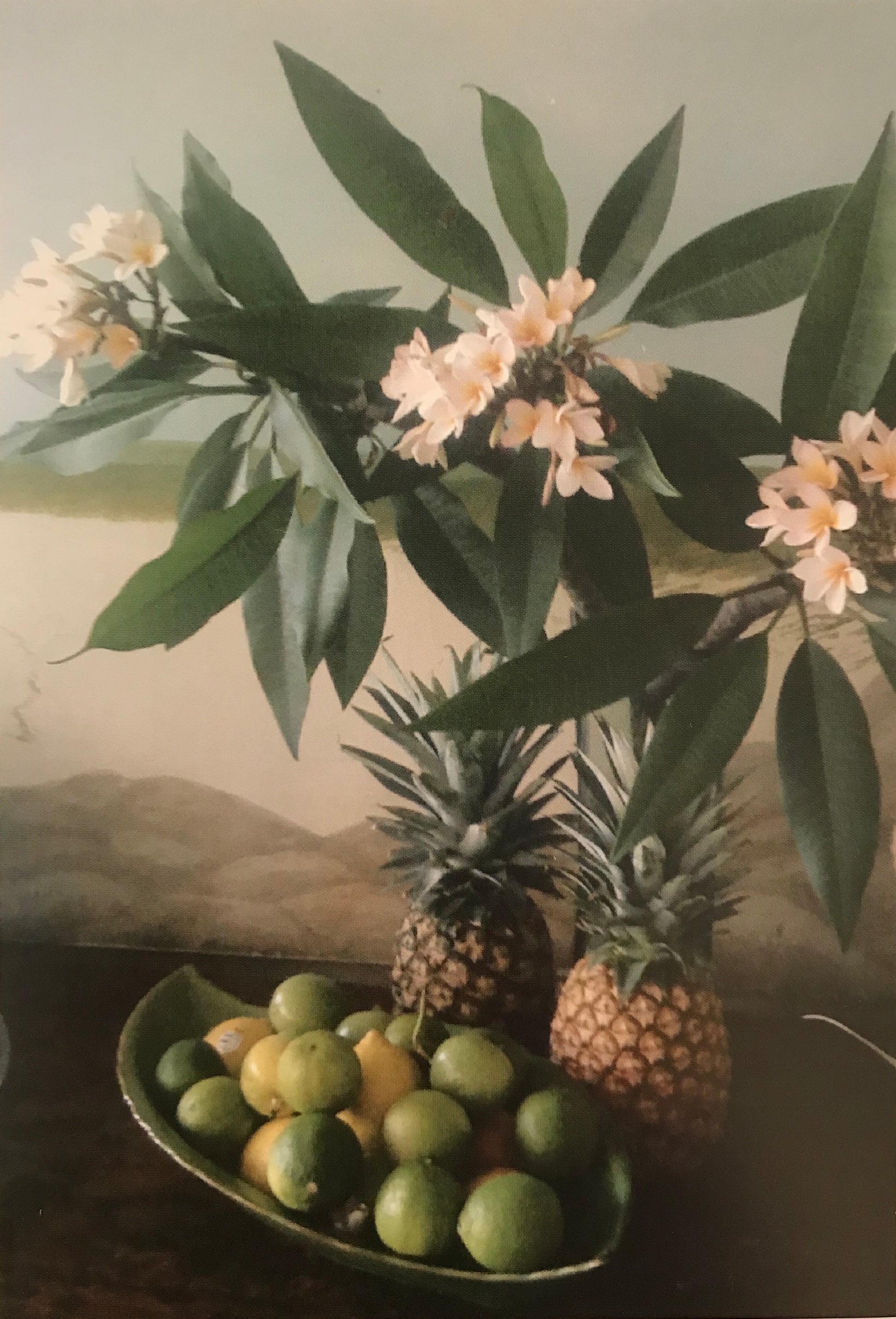 Home of the original 100% Cotton Mosquito Net. – Ozzie Mozzie Nets